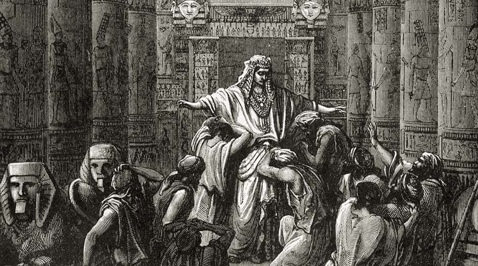 Joseph in Disguise | Torah Portions | FFOZ