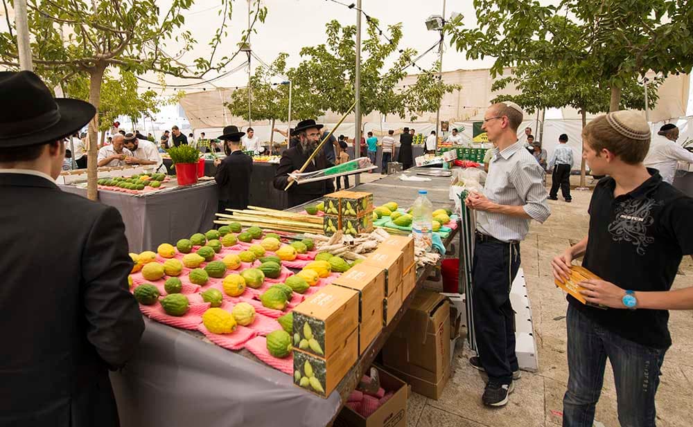 Festival of the Ingathering | Read | Messiah Online | FFOZ