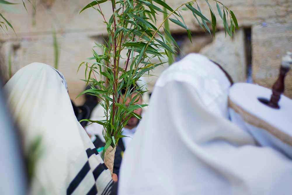 Festival of the Ingathering | Read | Messiah Online | FFOZ