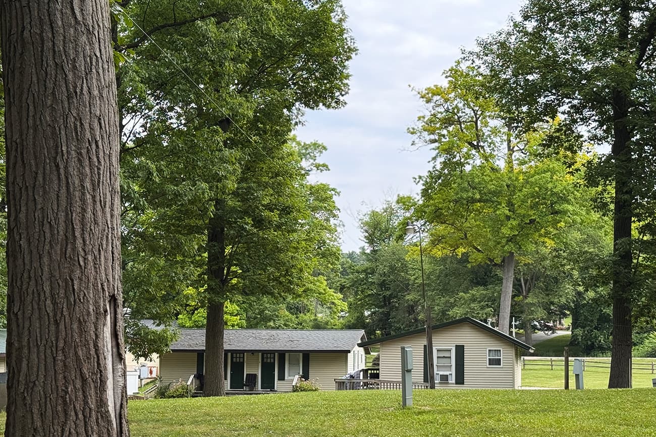 Shabbat, Shellfish, and Shared Responsibility | Read | Messiah Online ...